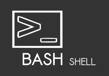 Working with Bash